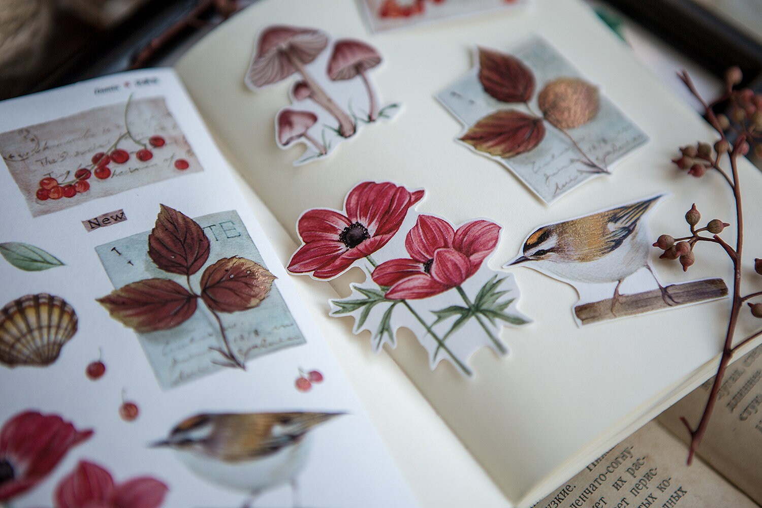 Doolittle's Garden 2 Stickers Set Damia Botanical | Etsy