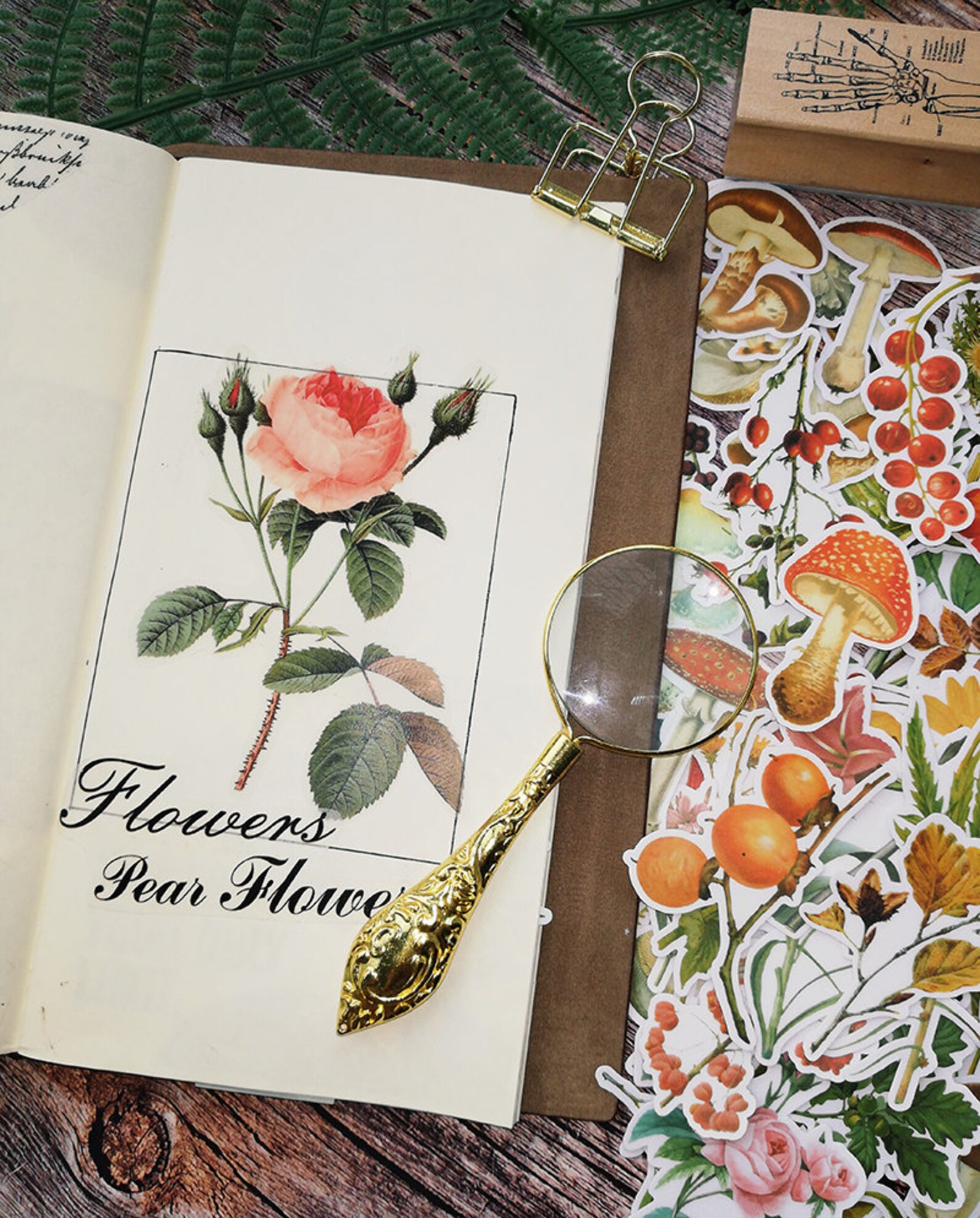 85PCS Vintage Flowers Stickers Pack Set B, Translucent Flowers Sticker ...