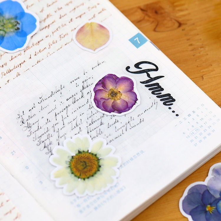 Dried Flowers Stickers Pack Preserved Pressed Flowers | Etsy