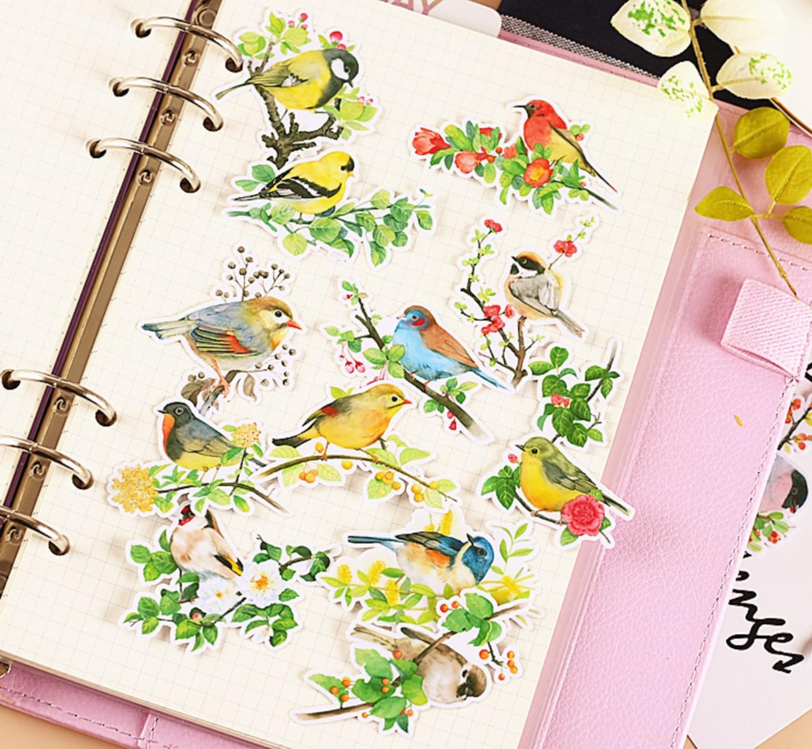 Birds Sticker Pack Songbird Bird Stickers Ephemera Animals | Etsy