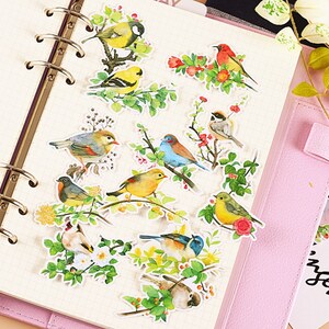 Birds Sticker Pack, Songbird Bird Stickers, Ephemera, Animals Die-cut ...
