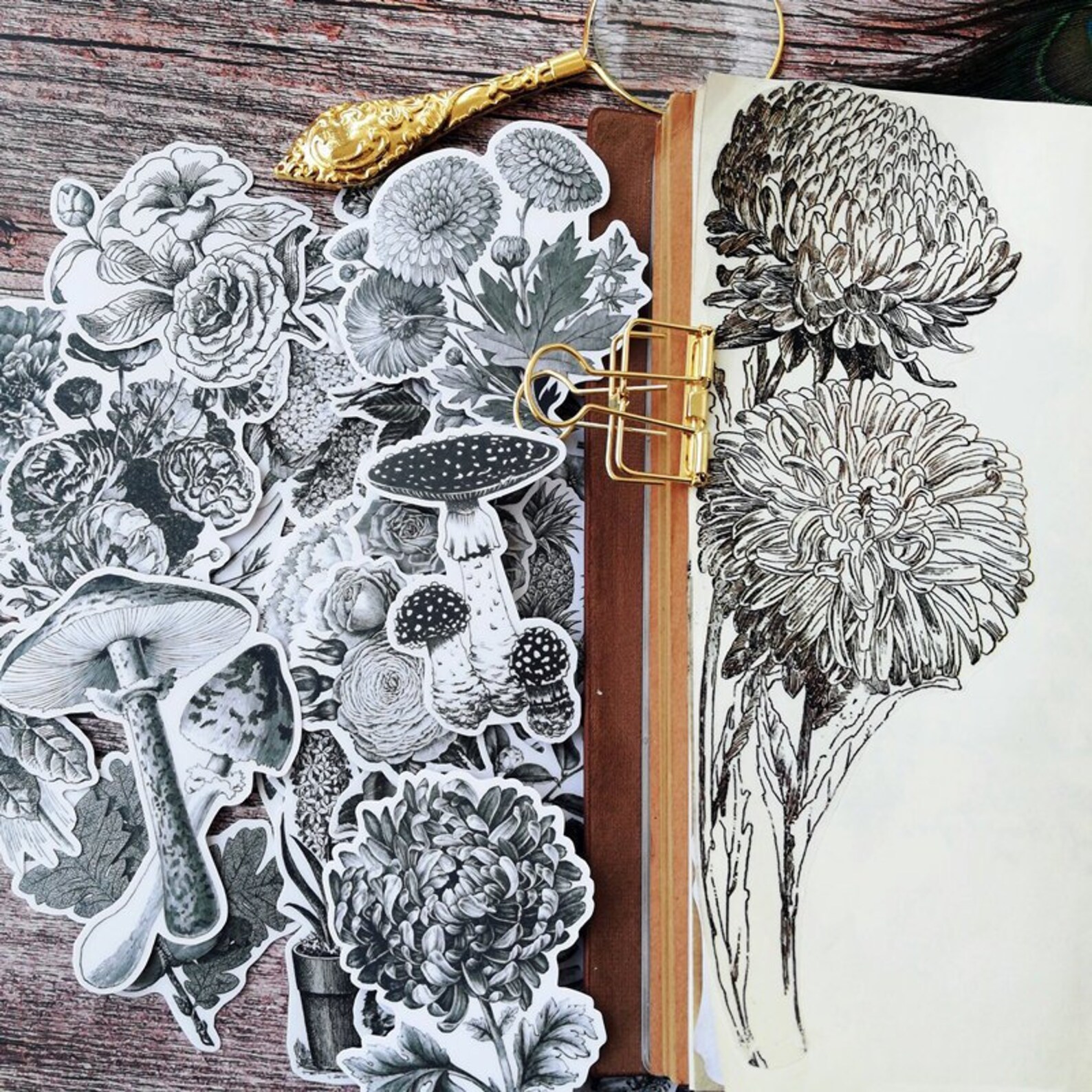 46 PCS Translucent Vintage Botanical Illustration Pack - Etsy