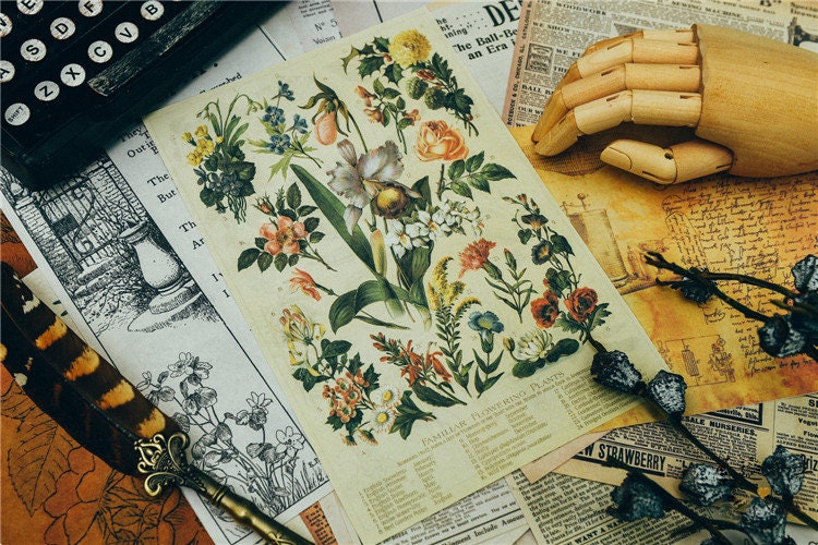 Old Book Page Prints, Natural Science Illustration Paper Pack ...