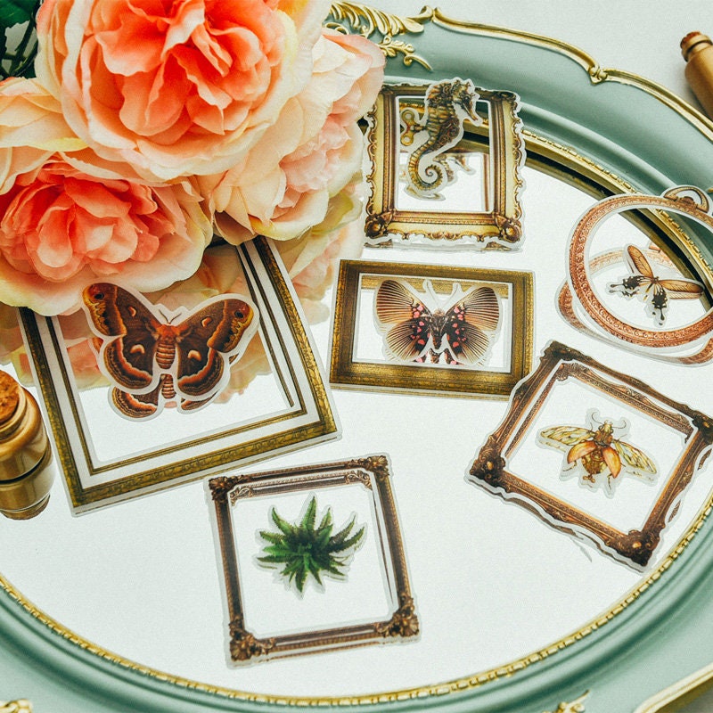 33 PCS Museum Specimen Collection Stickers Pack Translucent | Etsy