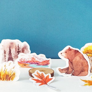 Forest Creatures Sticker Set, Forest Animals Stickers Box Set, Fox ...