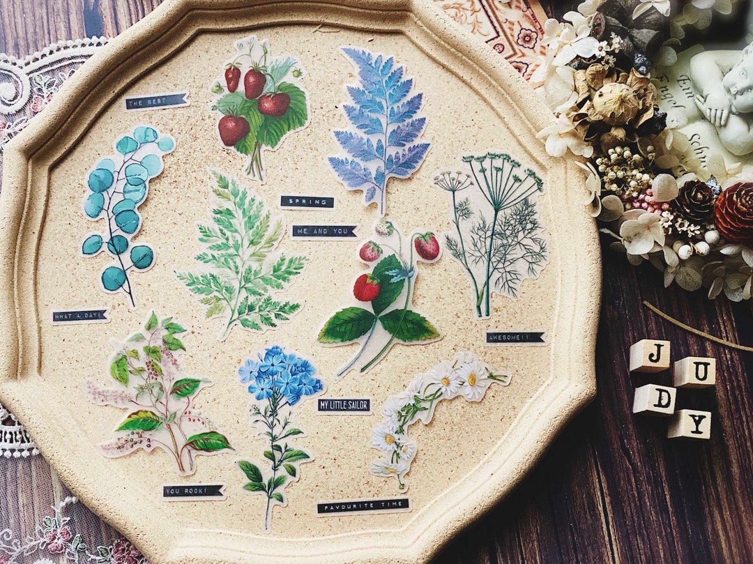 50PCS Natural Science Illustration Stickers Pack B, Translucent ...