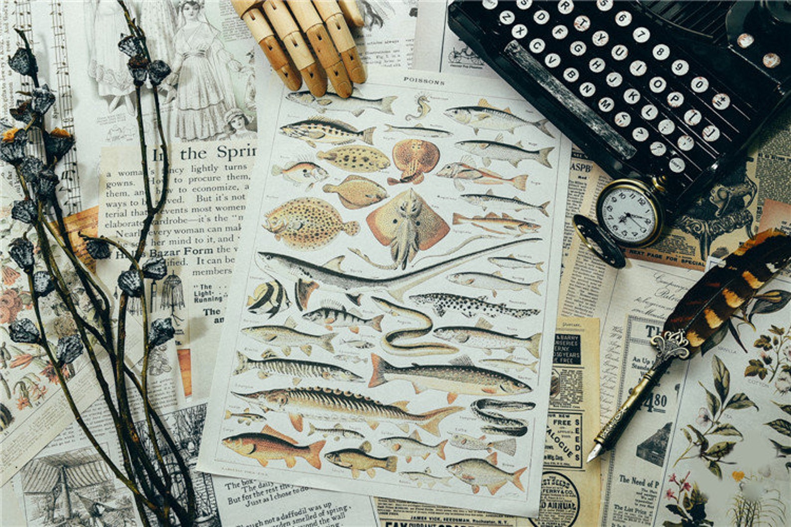 Old Book Page Prints, Natural Science Illustration Paper Pack ...