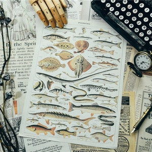 Old Book Page Prints, Natural Science Illustration Paper Pack ...