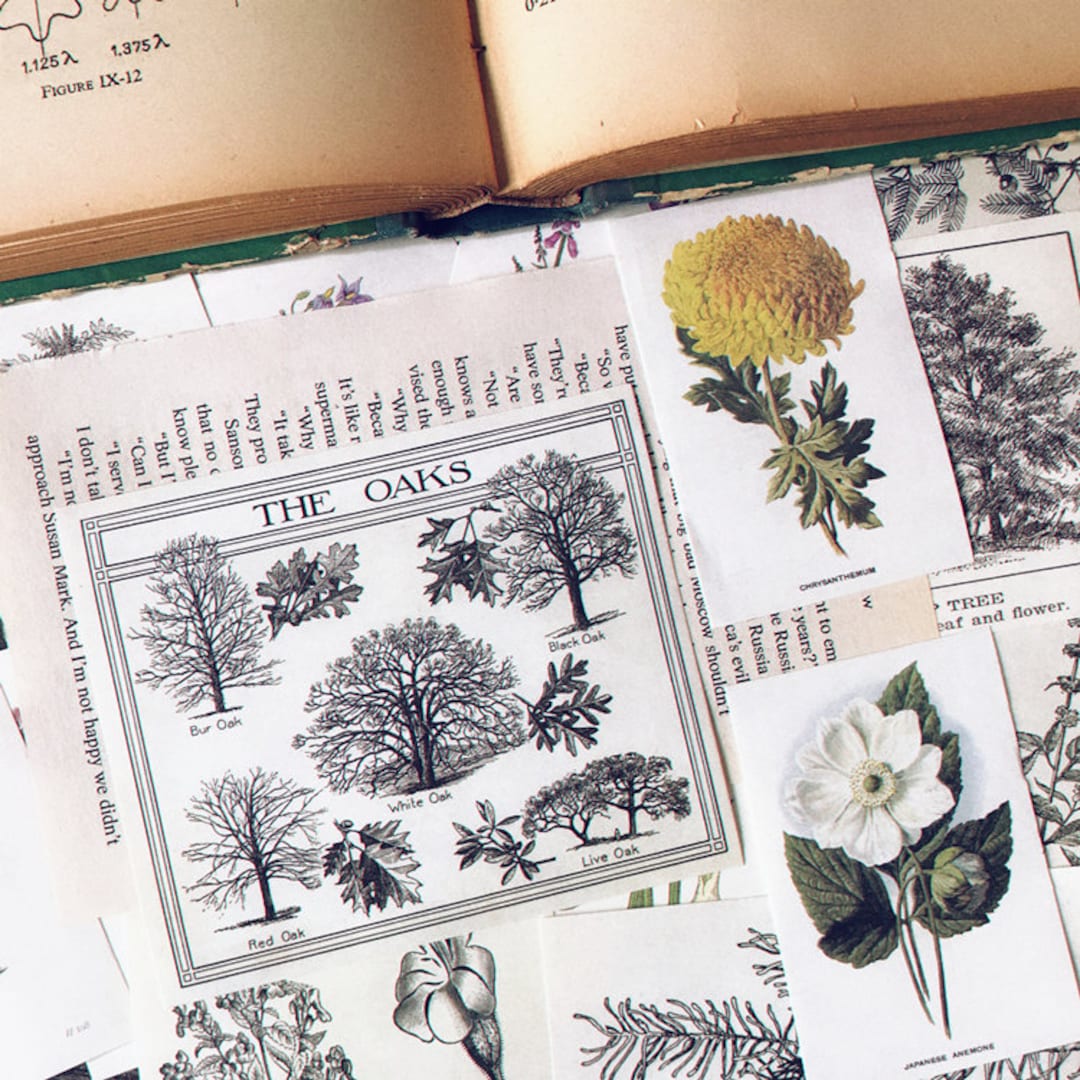 Botanical Illustration Collage Paper, Vintage Flower and Plants ...
