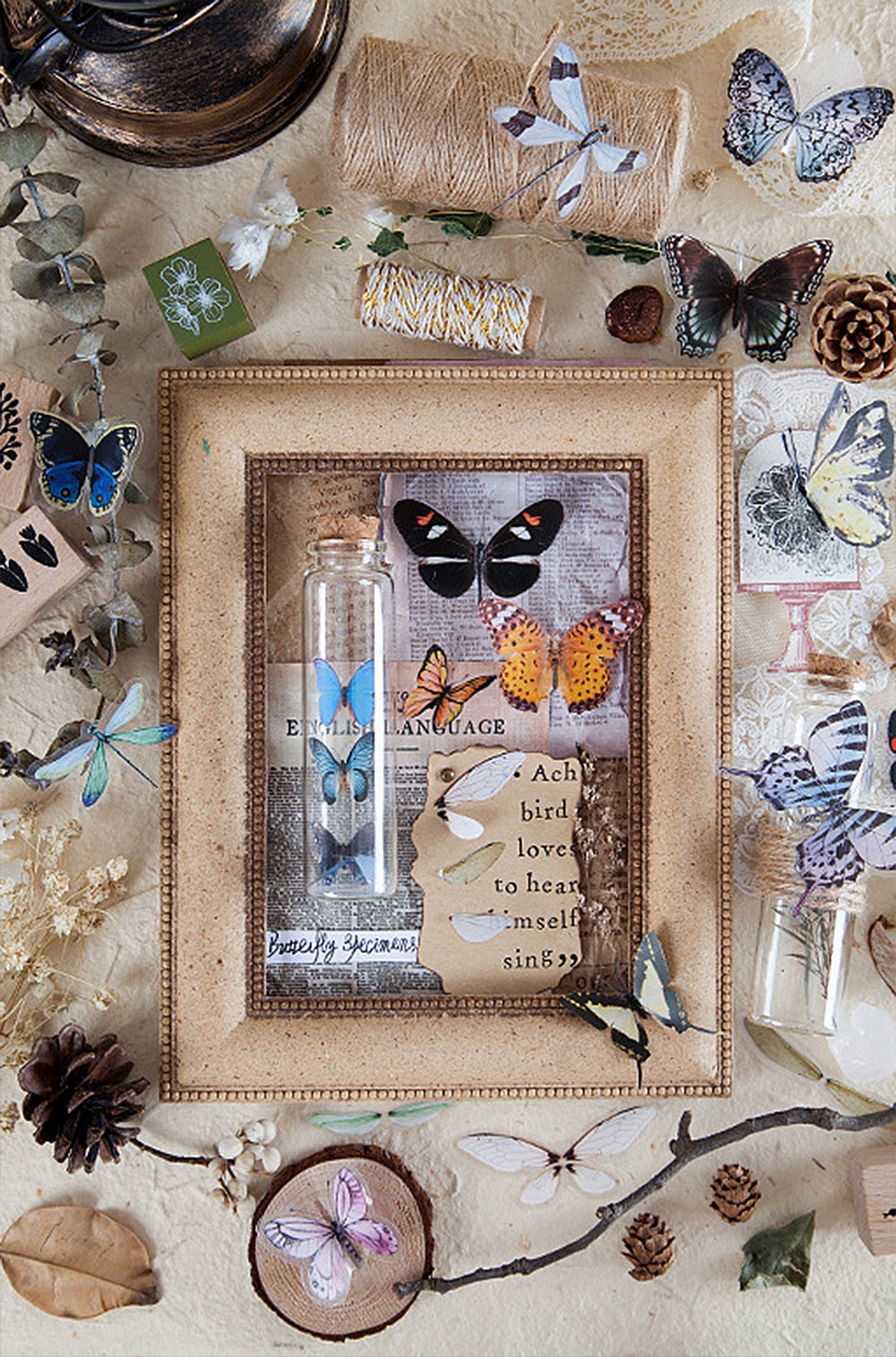 Butterfly Specimen Clear Stickers Pack, Die-cut Monarch Butterfly ...