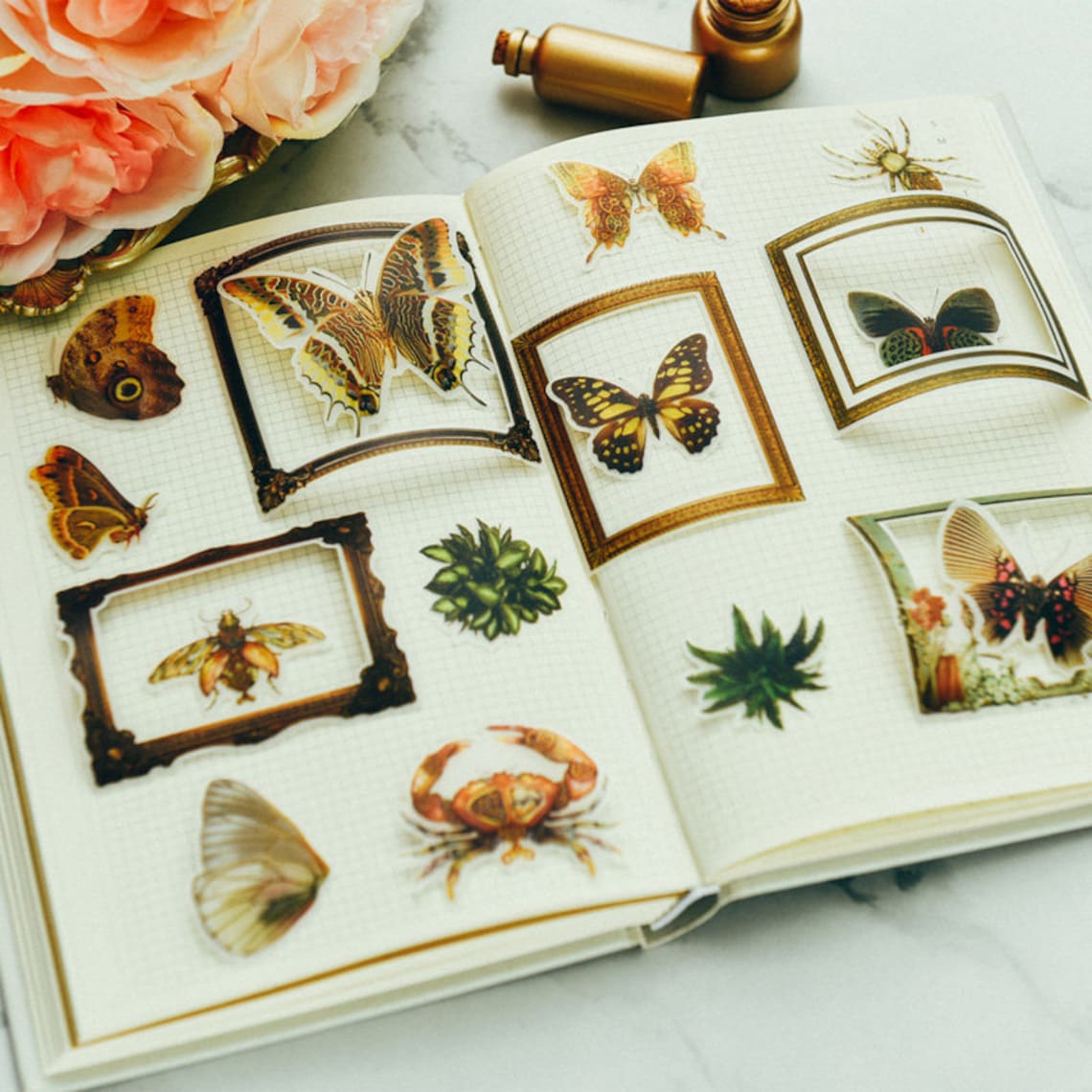 33 PCS Museum Specimen Collection Stickers Pack, Translucent Butterfly ...