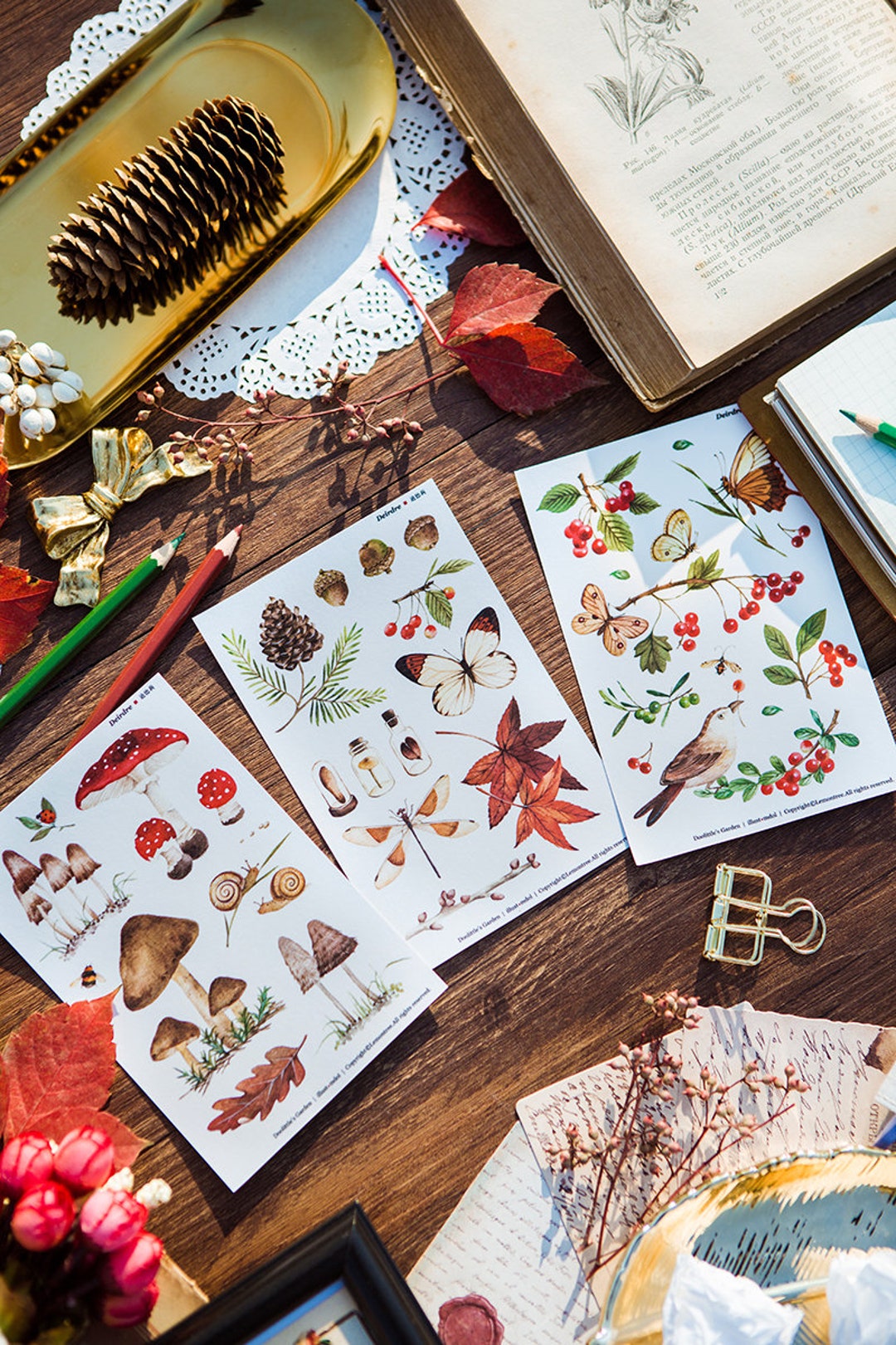 Doolittle's Garden Planner Sticker Sheet, Deidre, Mushroom, Botanical ...