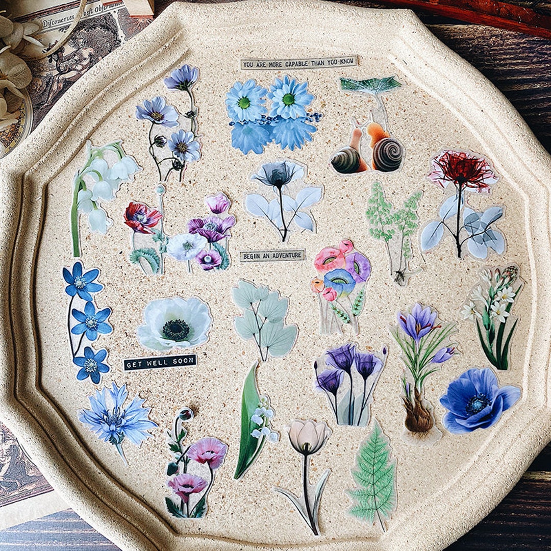 55PCS Natural Science Illustration Stickers Pack C, Translucent ...