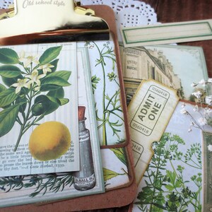 Botanical Tags Stickers Pack, Vintage Plants and Herbs Illustration ...