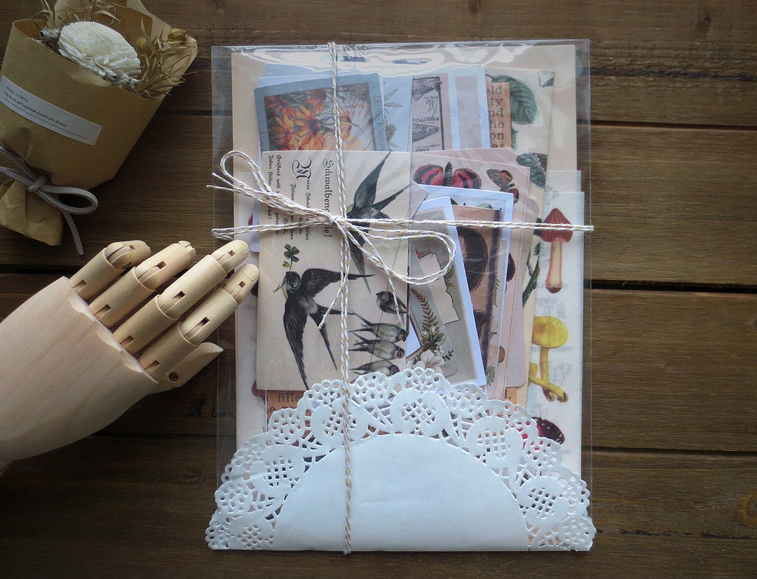 Natural Science Themed Ephemera Kit for Junk Journaling, Paper Pack ...