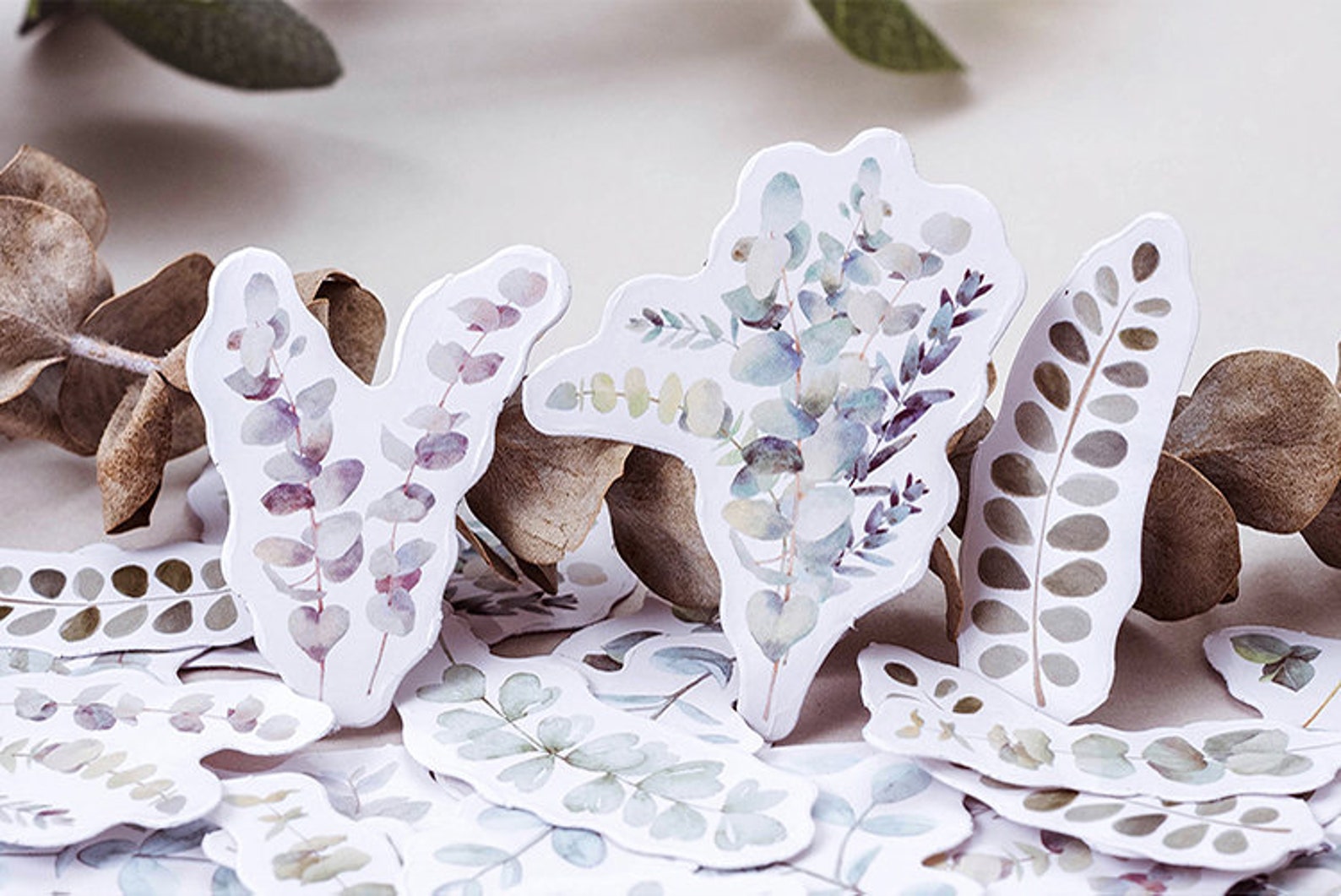 Eucalyptus Sticker Set, Plant Stickers, Light Pastel Green Color Themed ...