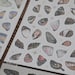 Butterfly Sticker Sheets Set, Lin Chia Ning Original Design Stickers ...