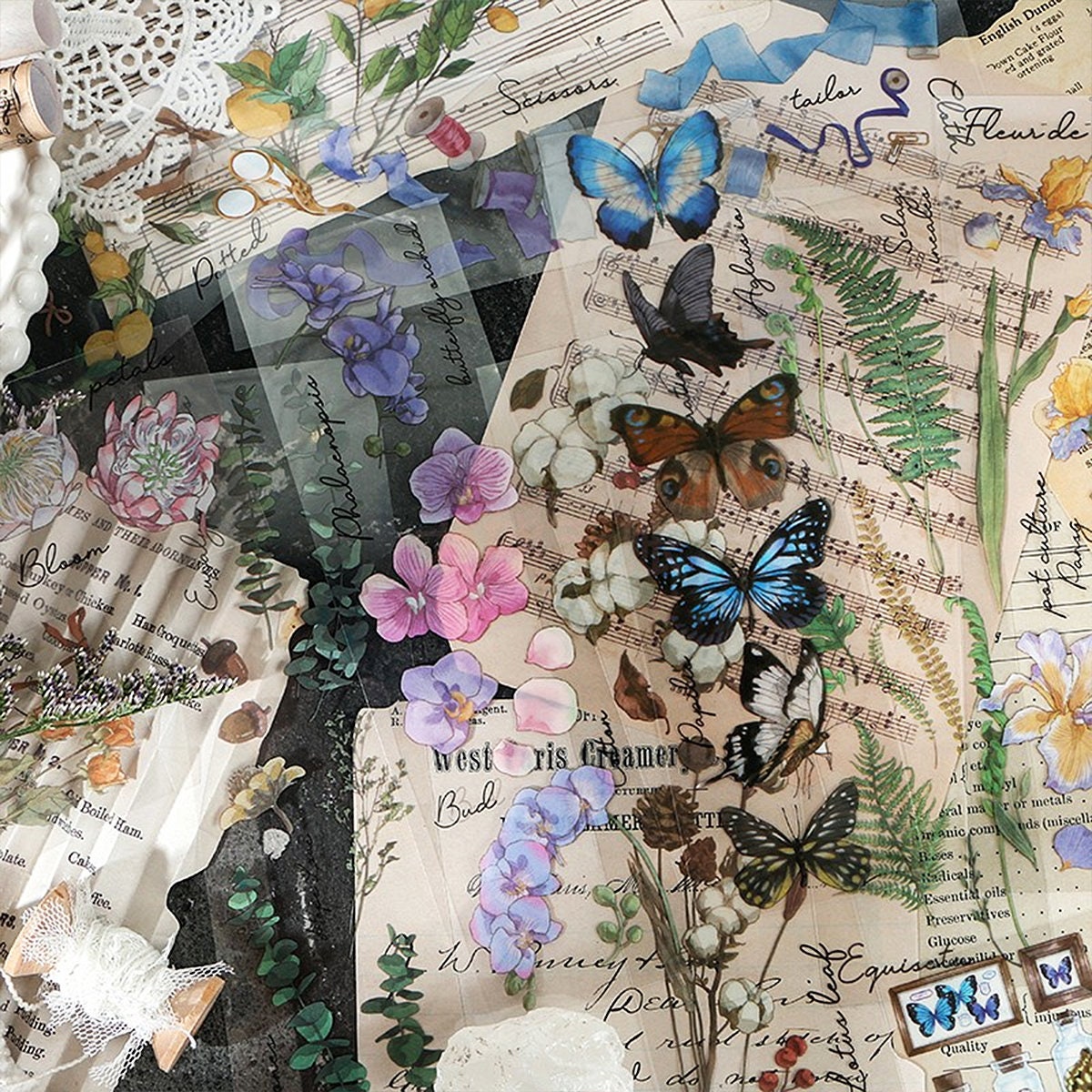 Natural Science Museum Clear Stickers Sheet, Floral, Plants Specimen ...