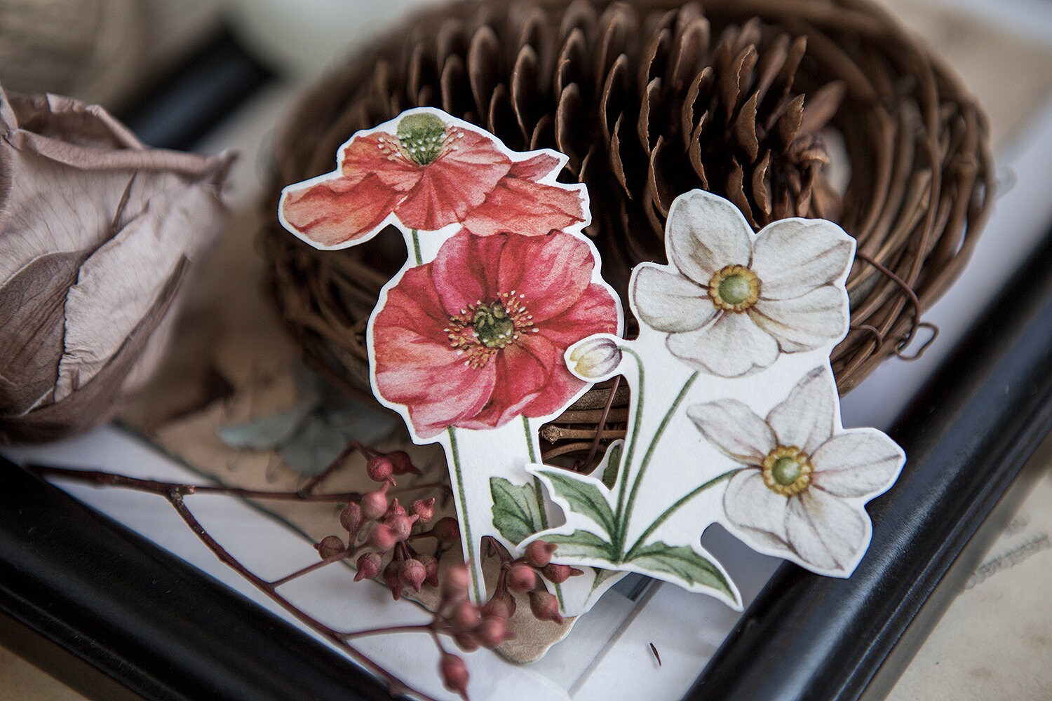 Doolittle's Garden 2 Stickers Set Damia Botanical | Etsy