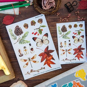 Doolittle's Garden Planner Sticker Sheet, Deidre, Mushroom, Botanical ...