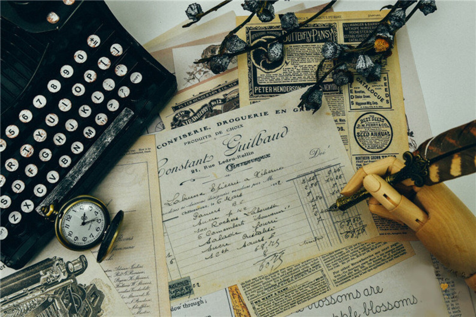 Old Book Page Prints, Natural Science Illustration Paper Pack ...