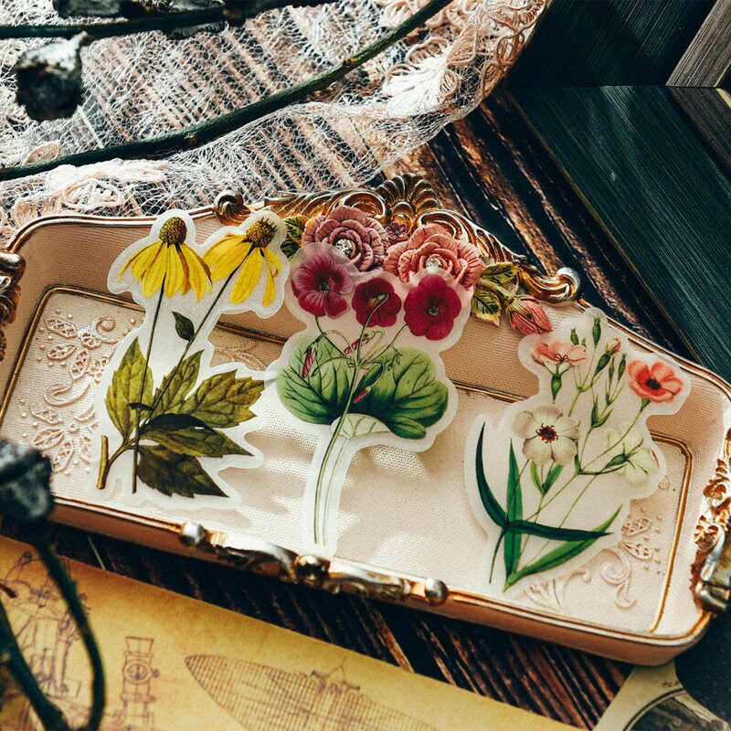 32PCS Natural Science Illustration Stickers Pack D | Etsy