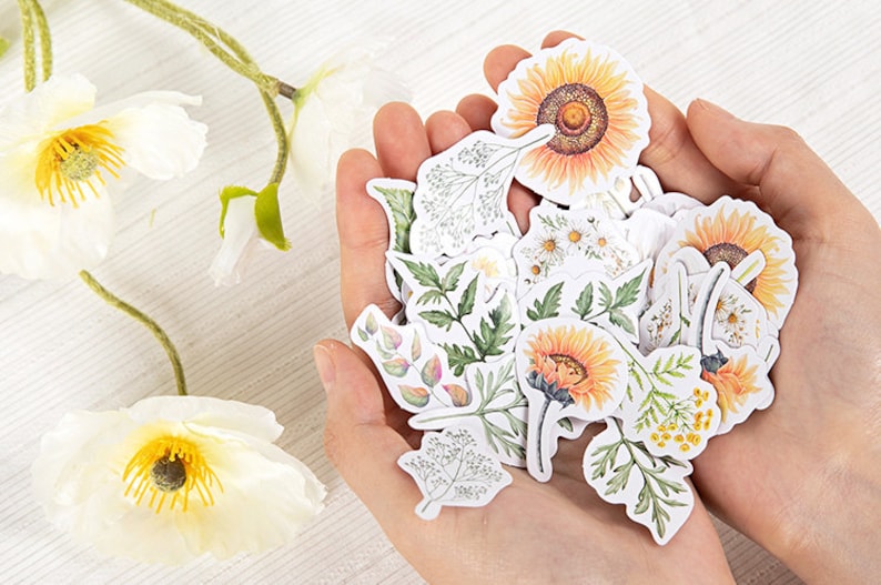 Daisies and Sunflowers Stickers Set Flowers Stickers Pack - Etsy