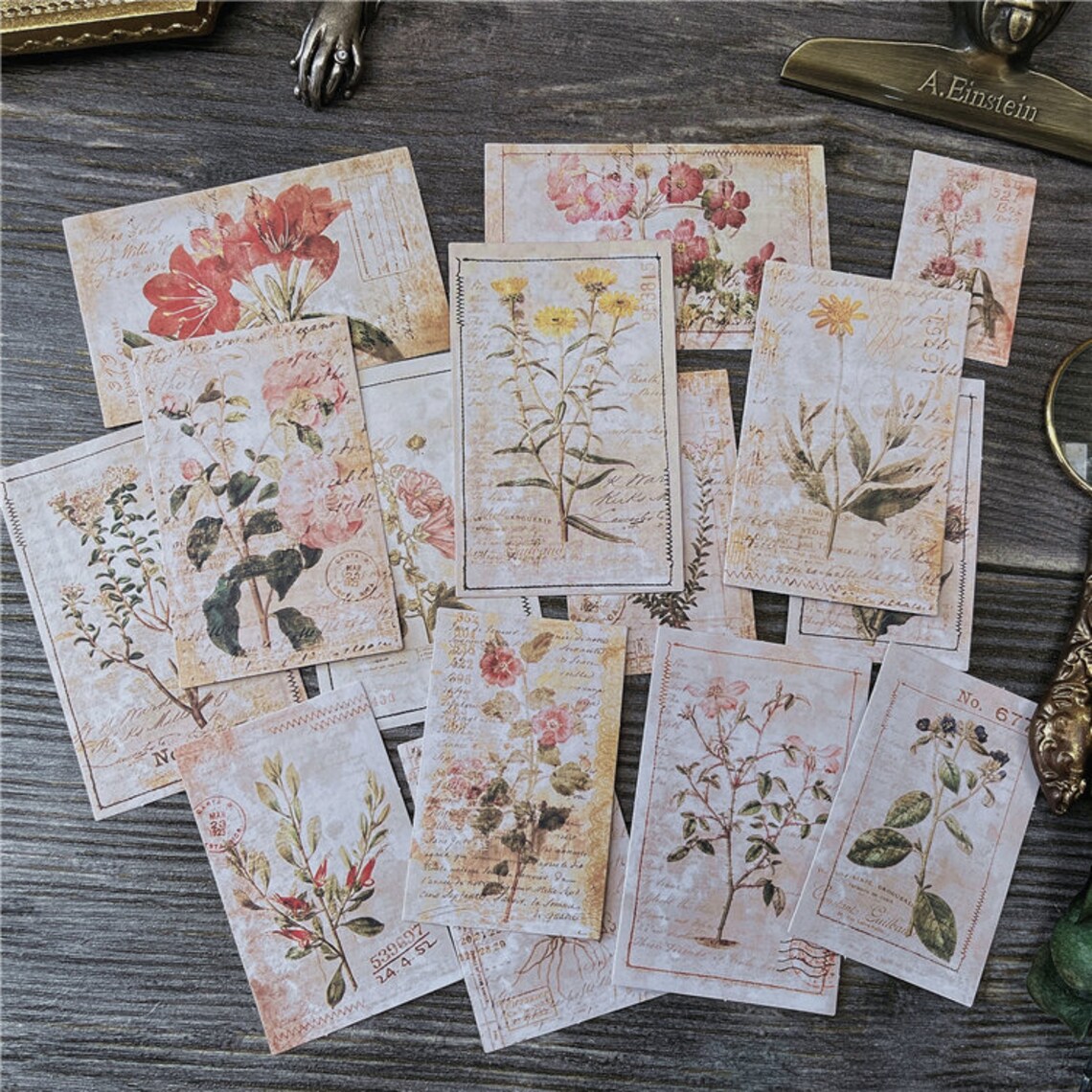 Botanical Illustration Stickers Pack Vintage Flower and - Etsy