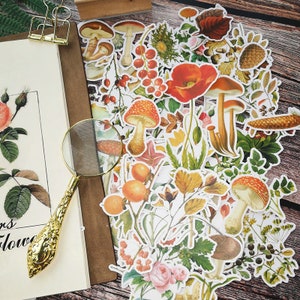 85PCS Vintage Flowers Stickers Pack Set B, Translucent Flowers Sticker ...