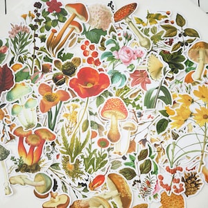 85PCS Vintage Flowers Stickers Pack Set B, Translucent Flowers Sticker ...