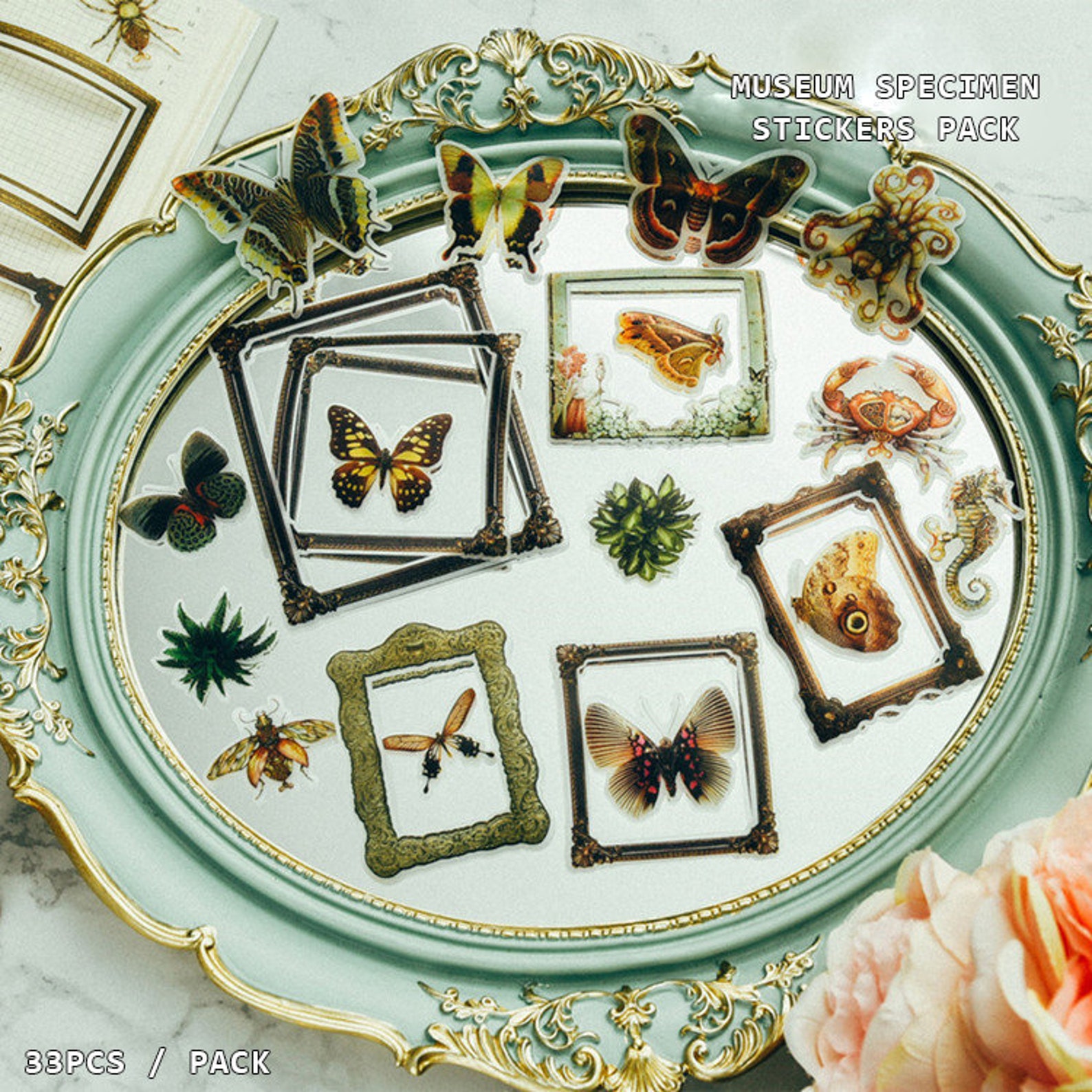 33 PCS Museum Specimen Collection Stickers Pack, Translucent Butterfly ...