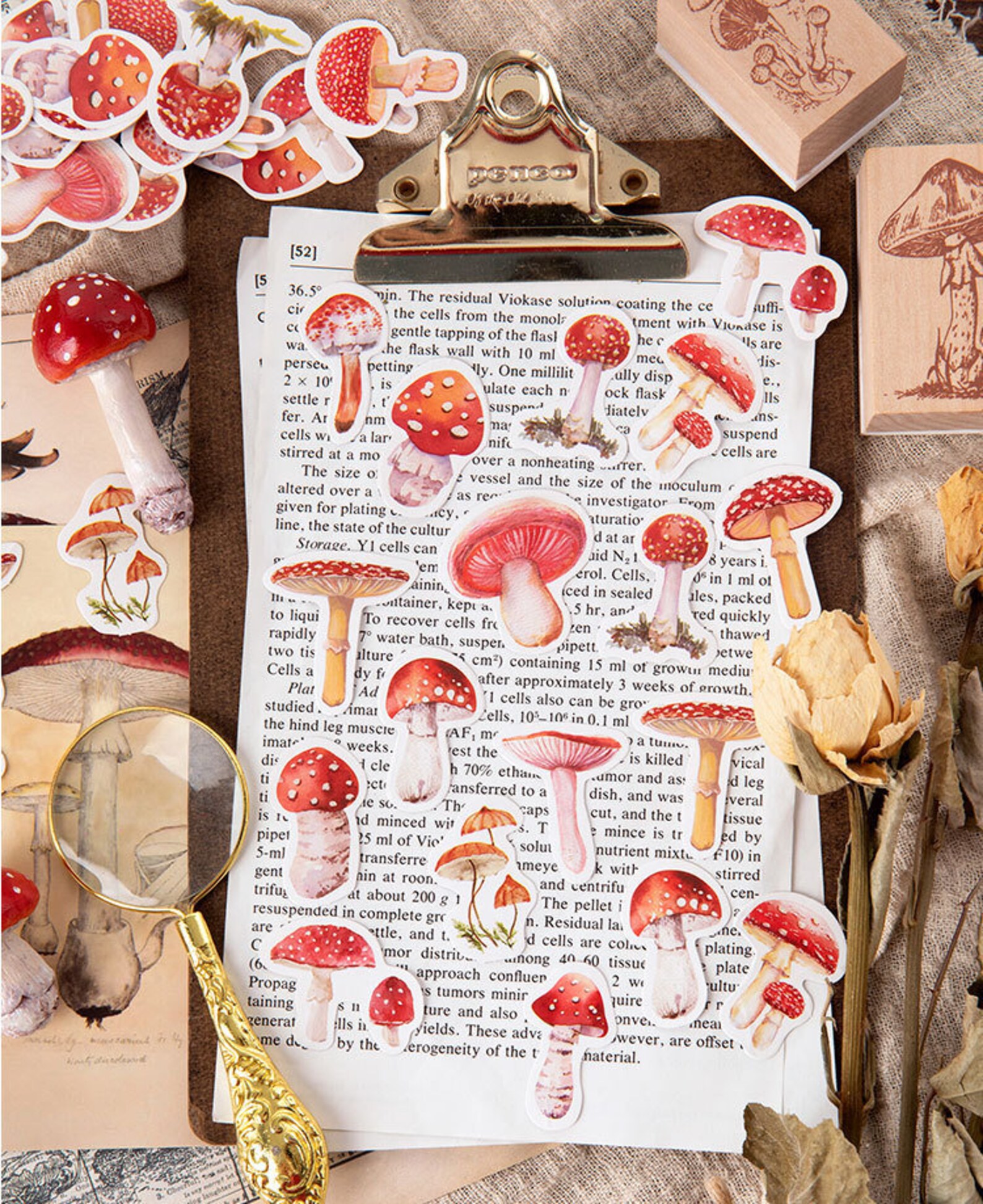 Mushroom Sticker Set Red Mushroom Caps Fungi Sticker Fungus - Etsy
