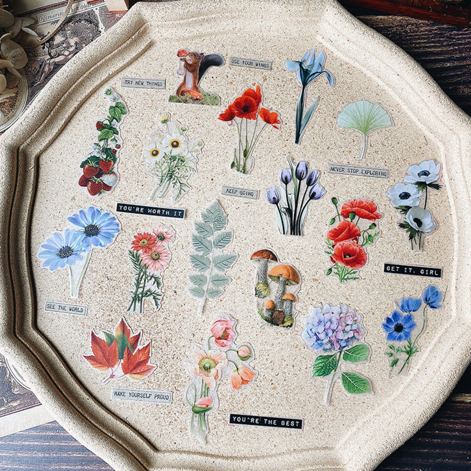 55PCS Natural Science Illustration Stickers Pack C | Etsy