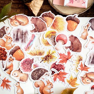 Forest Creatures Sticker Set, Forest Animals Stickers Box Set, Fox ...