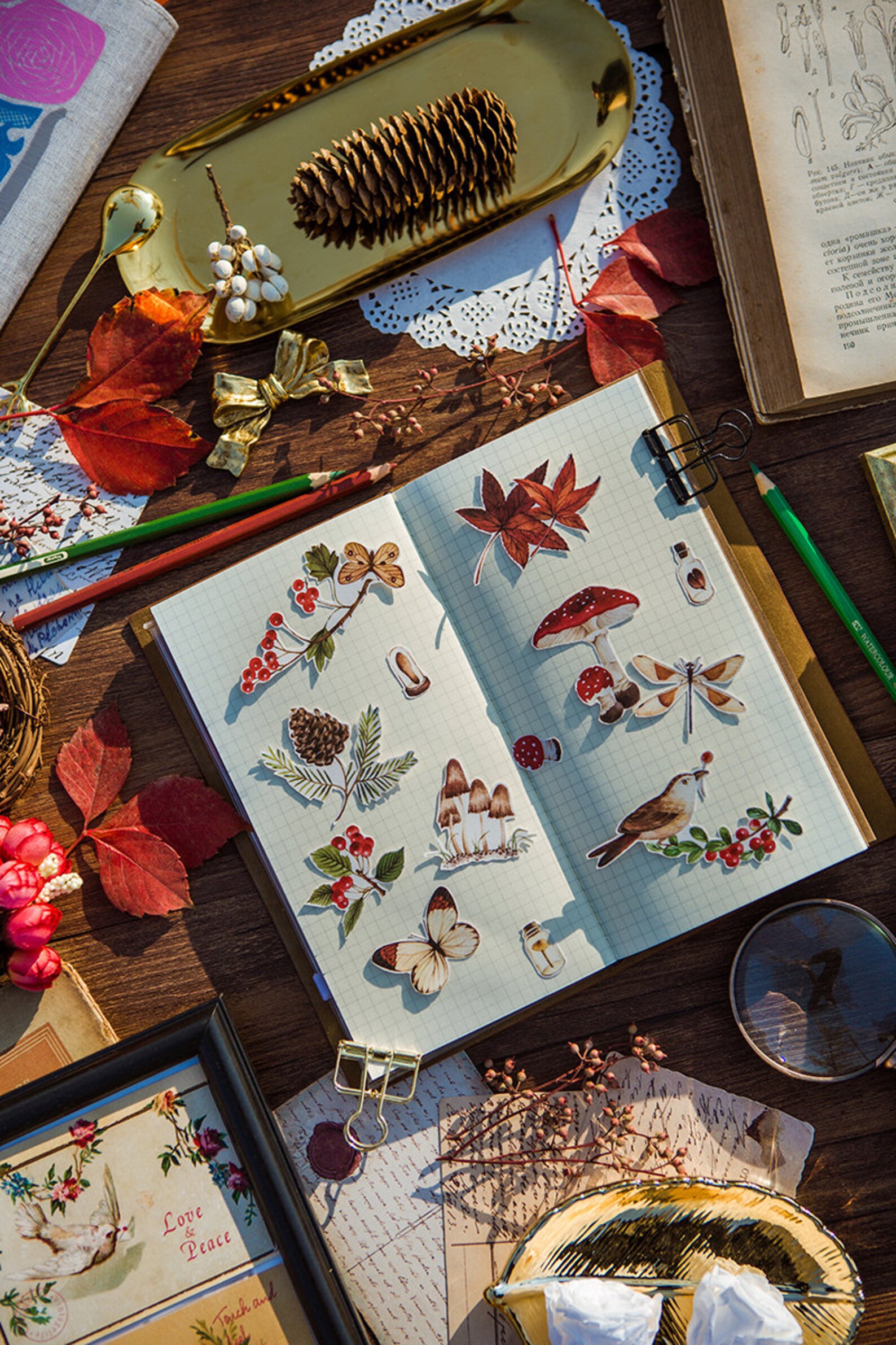 Doolittle's Garden Planner Sticker Sheet Deidre - Etsy