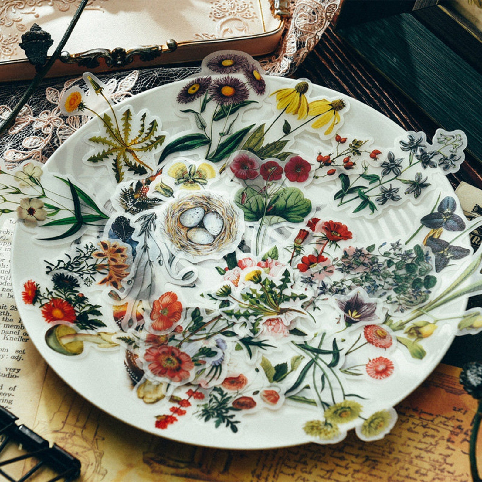 32PCS Natural Science Illustration Stickers Pack D | Etsy