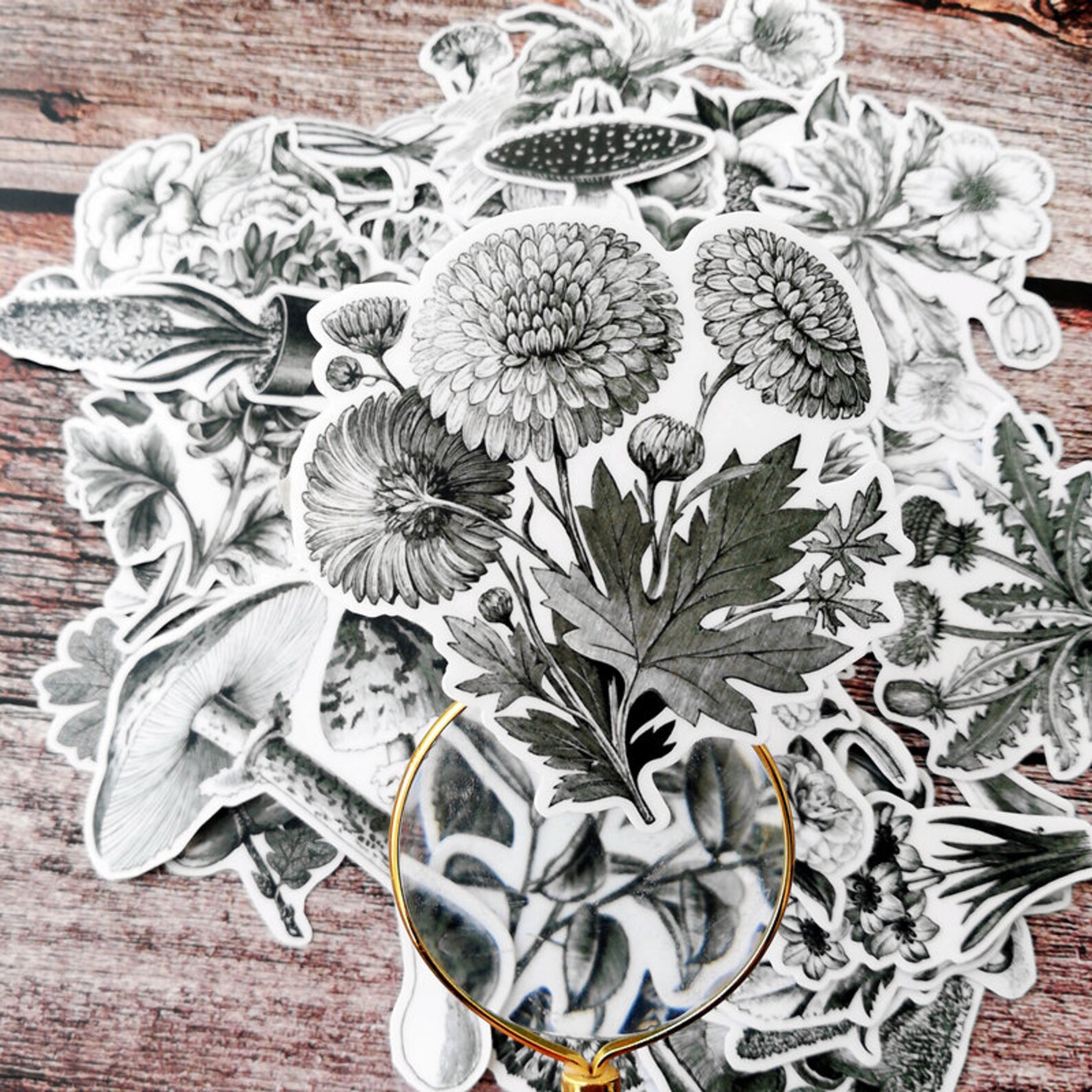 46 PCS Translucent Vintage Botanical Illustration Pack - Etsy