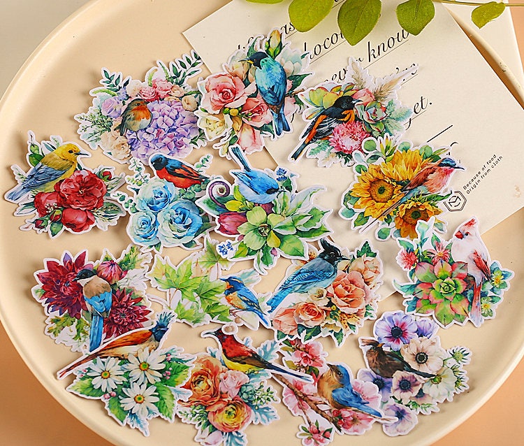 Birds Sticker Pack Songbird Series C Bird Stickers Ephemera - Etsy