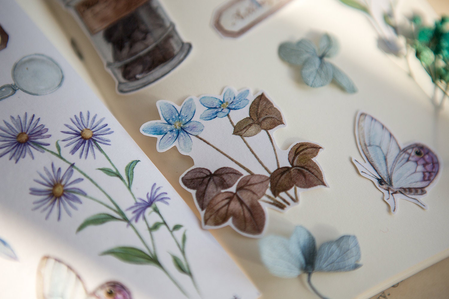 Doolittle's Garden 2 Stickers Set Coral Botanical - Etsy