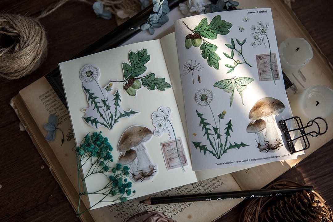 Doolittle's Garden 2 Stickers Set, Roxanne, Botanical Sticker Sheet ...
