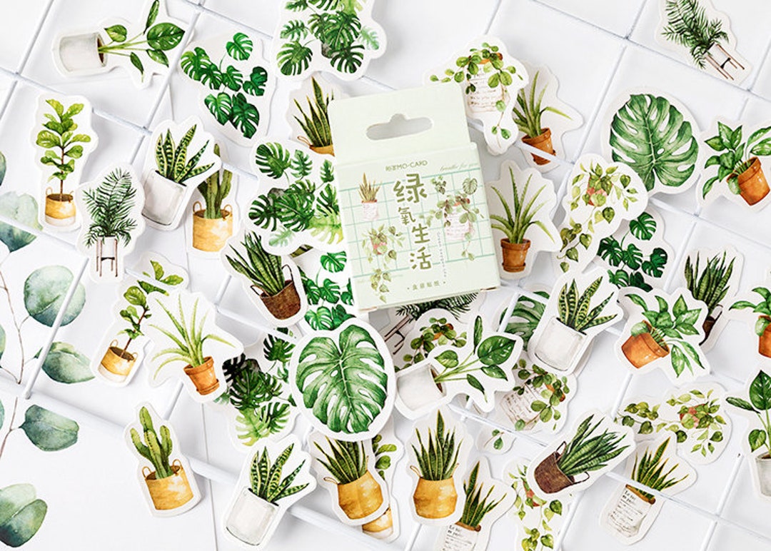 House Plants Sticker Pack, Ivy, Aloe, Swiss Cheese Plant Stickers ...