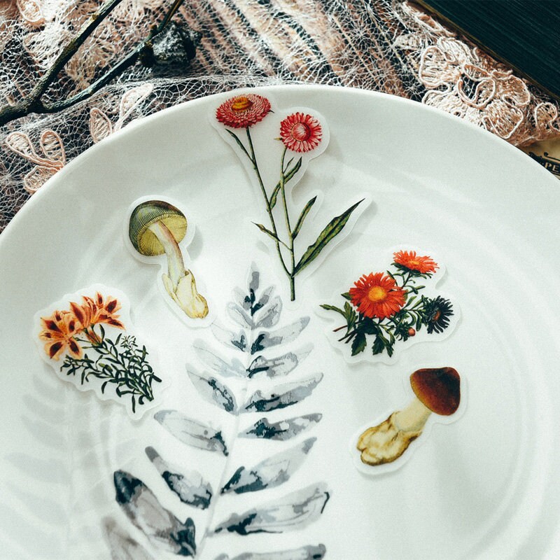 32PCS Natural Science Illustration Stickers Pack D | Etsy