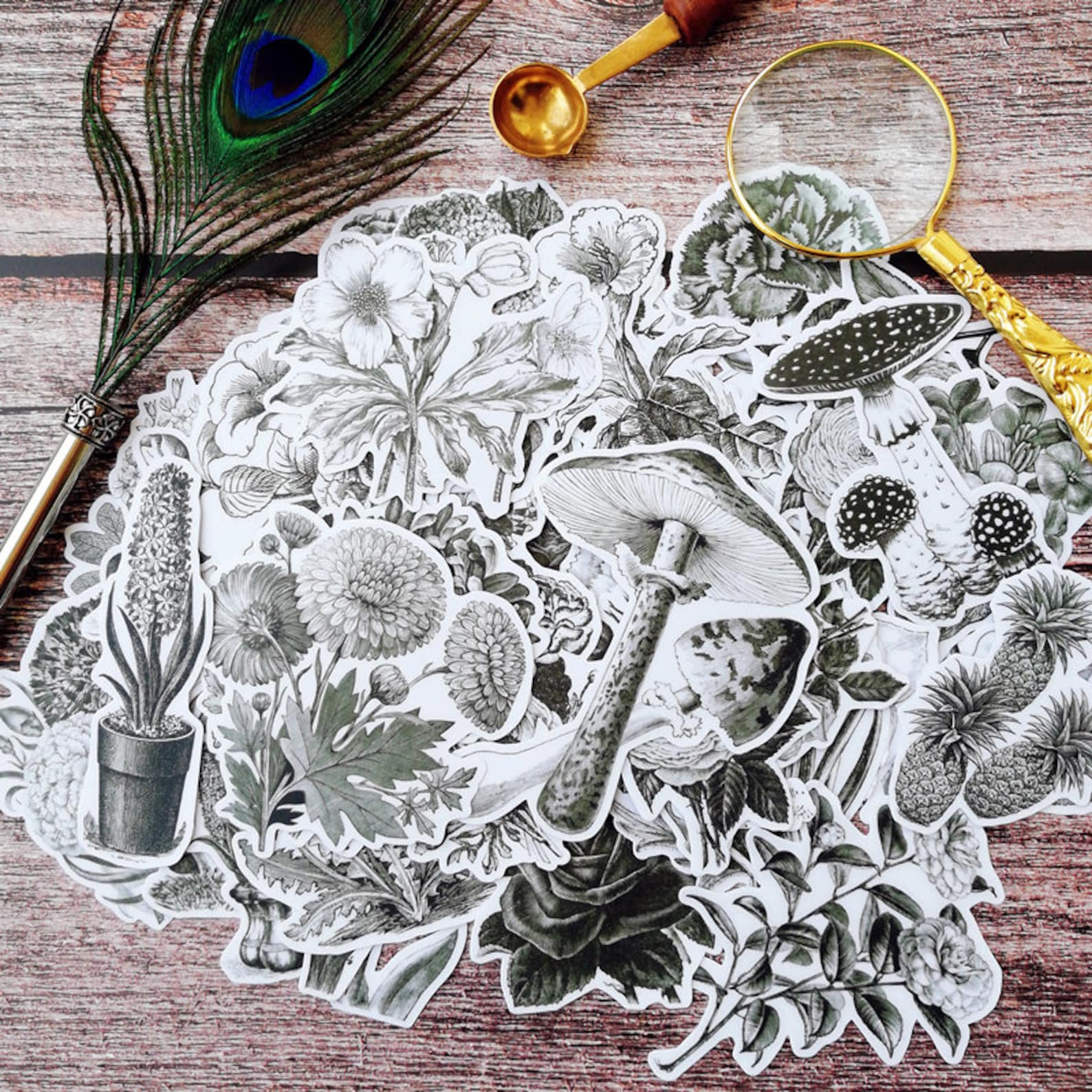 46 PCS Translucent Vintage Botanical Illustration Pack - Etsy