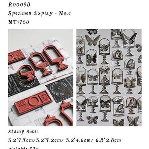 Specimen Display Rubber Stamps Set, LCN Design Studio, Red Rubber ...