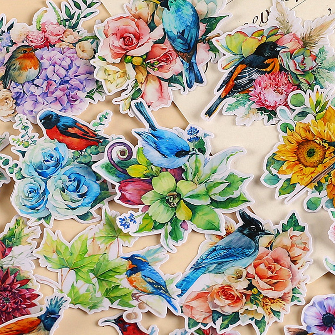 Birds Sticker Pack Songbird Series C Bird Stickers Ephemera - Etsy