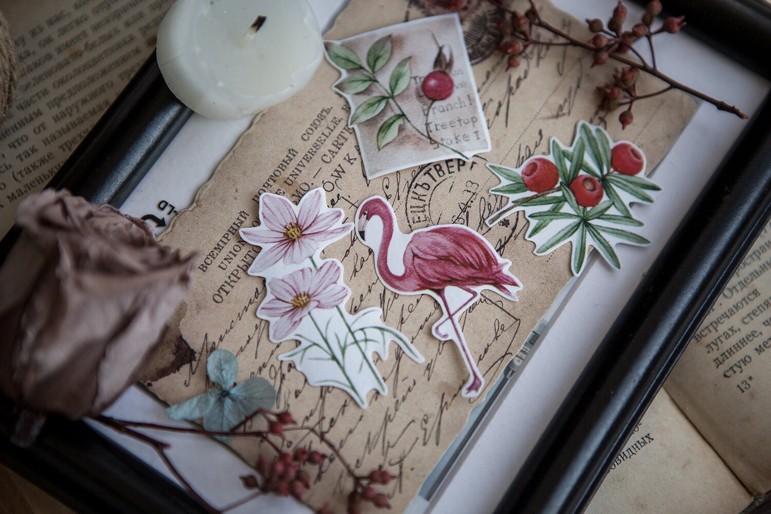 Doolittle's Garden 2 Stickers Set Damia Botanical | Etsy