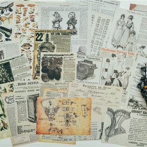 Old Book Page Prints, Natural Science Illustration Paper Pack ...