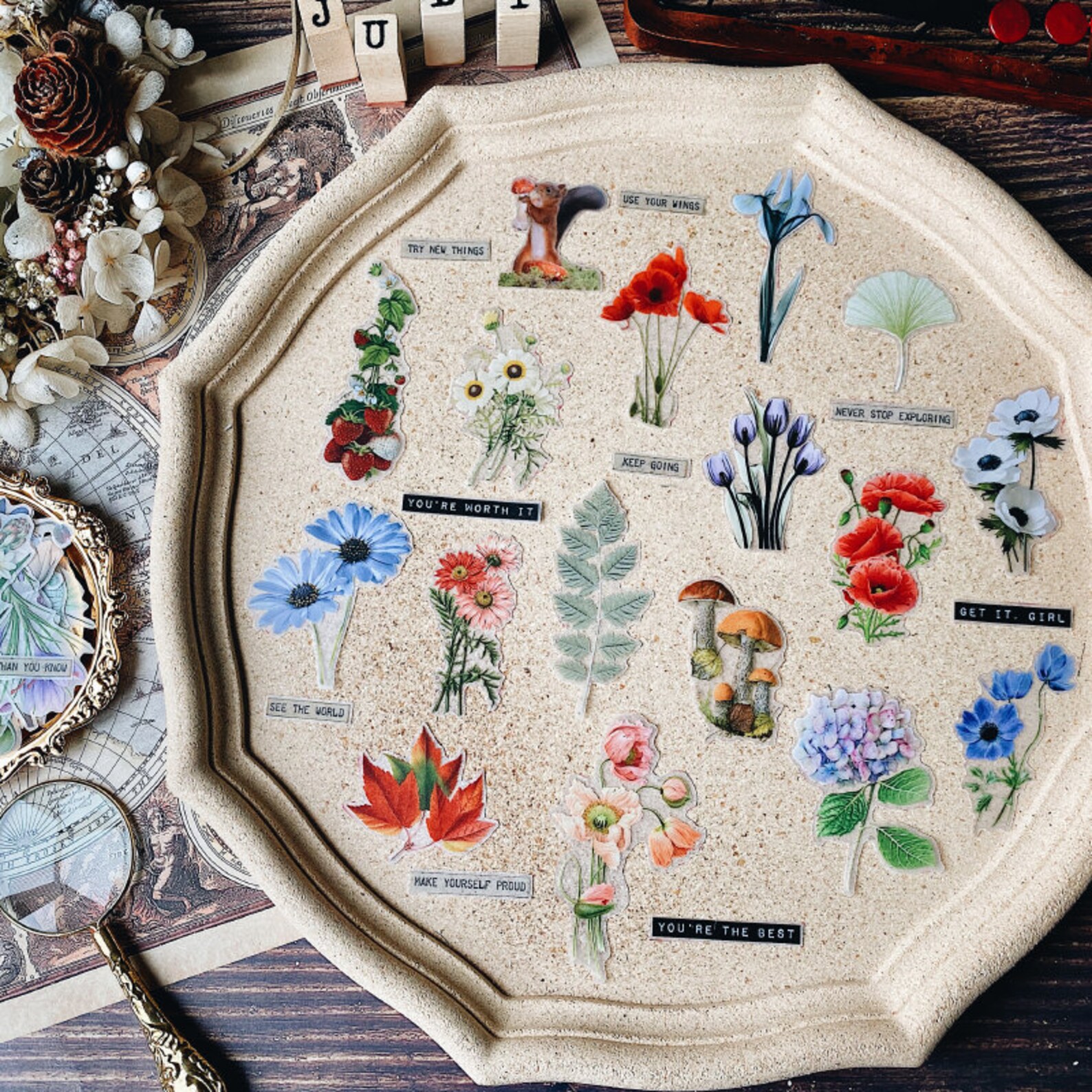 55PCS Natural Science Illustration Stickers Pack C | Etsy