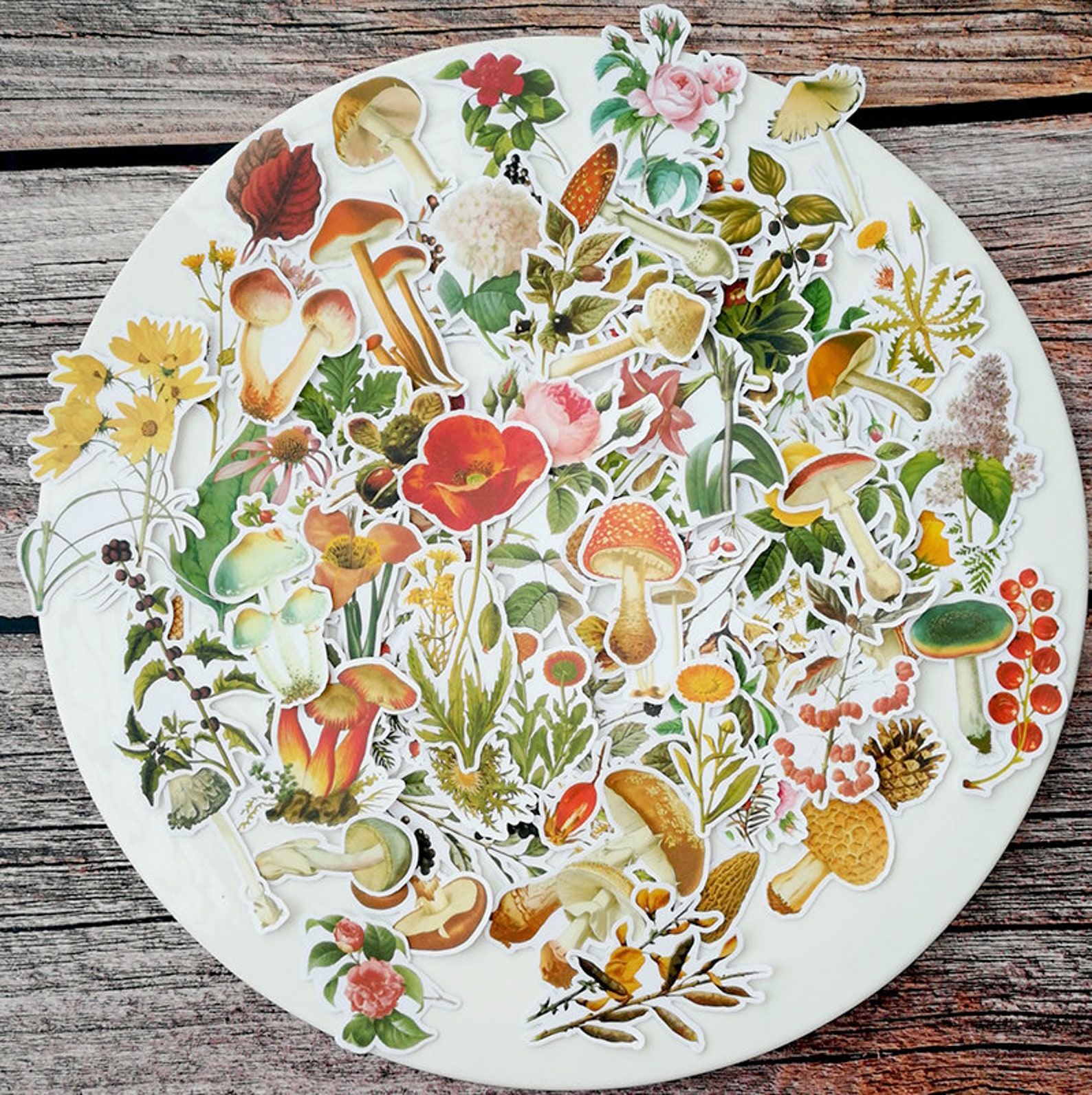 85PCS Vintage Flowers Stickers Pack Set B Translucent Flowers - Etsy