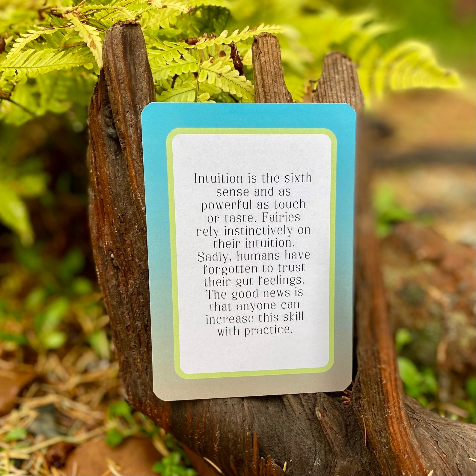 How to Live Like a Fairy CARD DECK - Positive Affirmation Cards ...